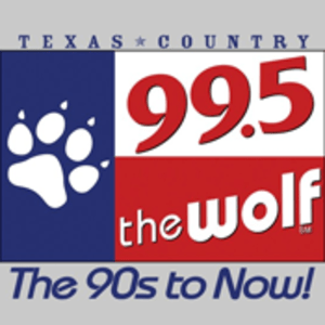 99.5 fm radio store